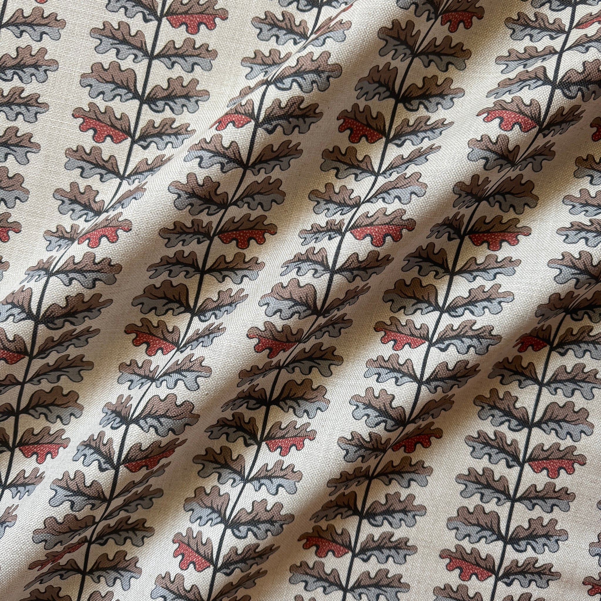 QUERCUS // chambray – Studio Humbug